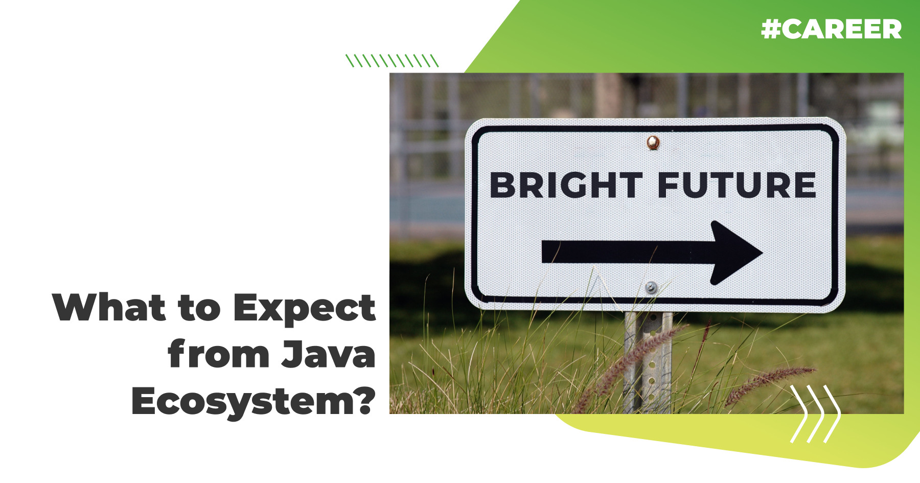 What to Expect from Java Ecosystem? The prospects for Java Specialists ...