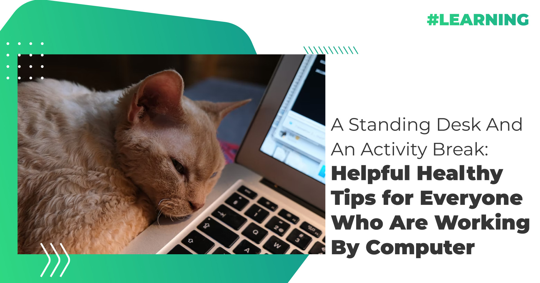 A Standing Desk And An Activity Break: Helpful Healthy Tips for ...