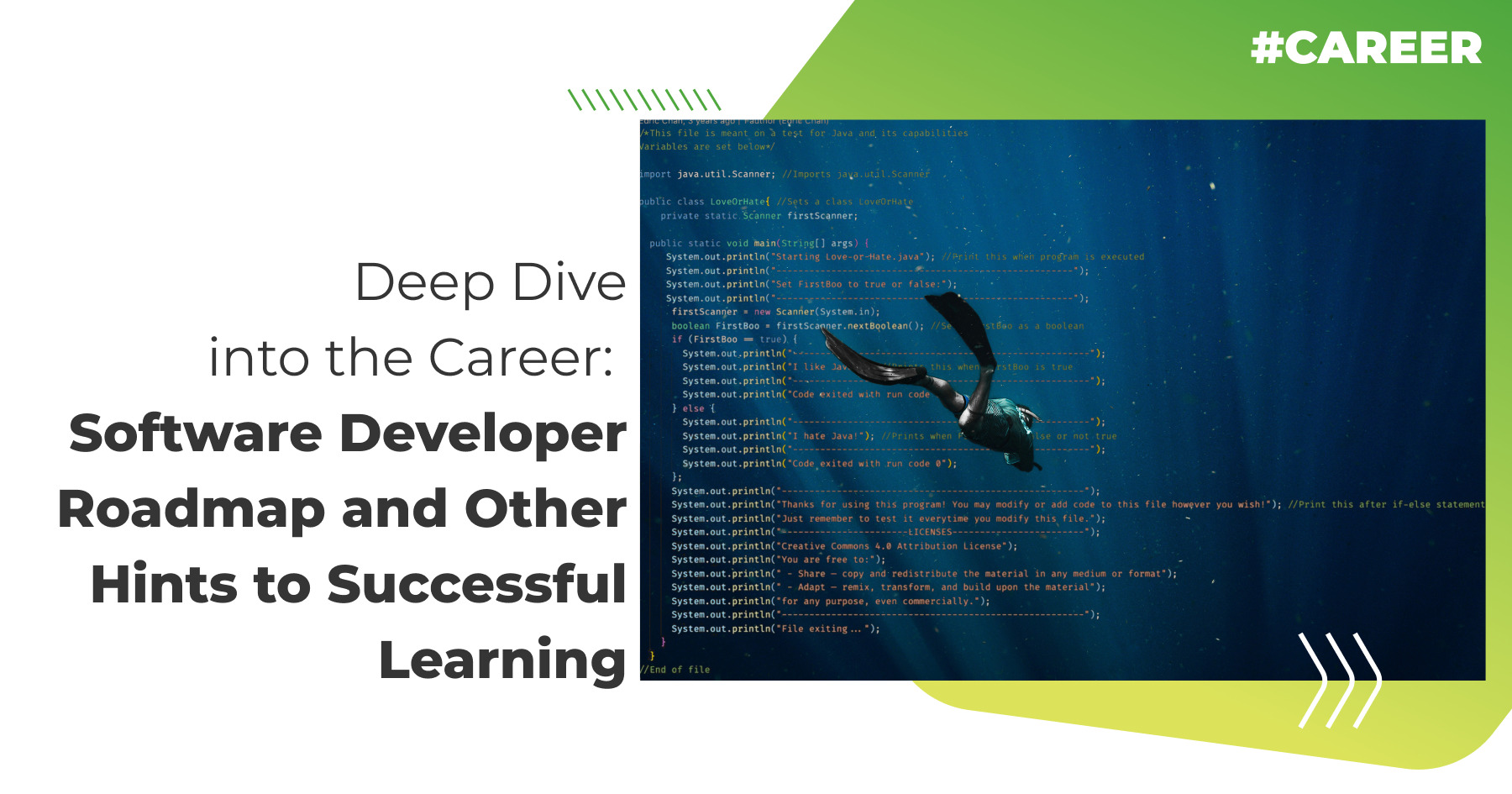 Deep Dive into the Career: Software Developer Roadmap and Other Hints ...